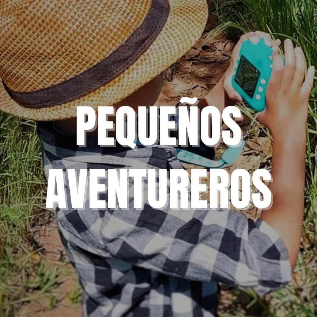 Página de inicio - wokery.cl